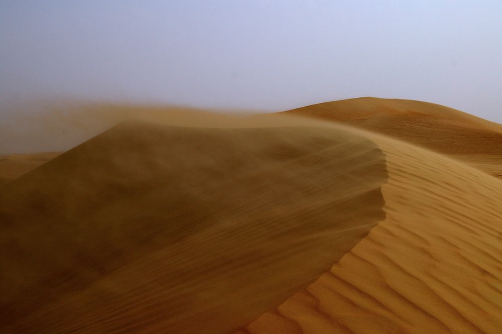 Sand - Wind ... Foto & Bild | world, sand, natur Bilder auf fotocommunity