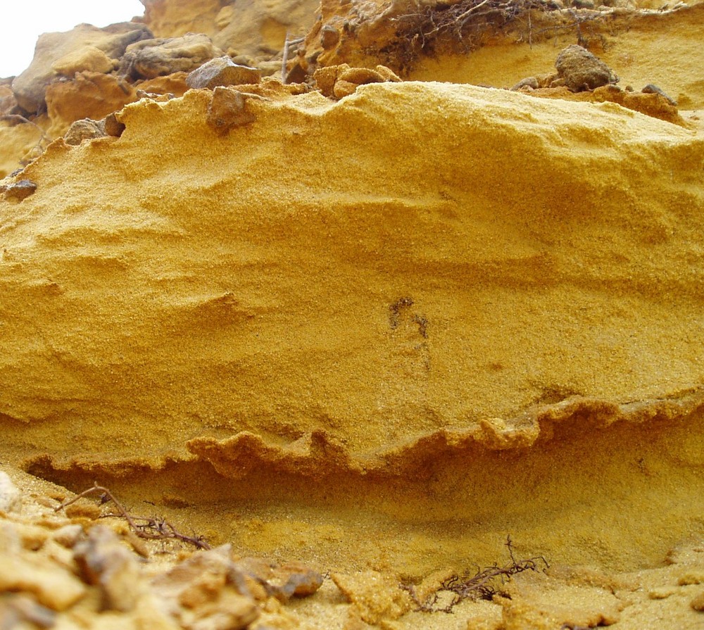 Sandboden am Kalki Foto & Bild | landschaft, heide, natur Bilder auf ...