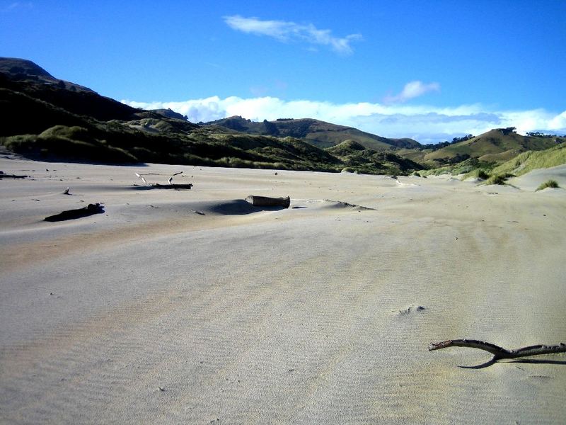 Sandflybeach Foto & Bild | australia & oceania, new zealand, otago ...