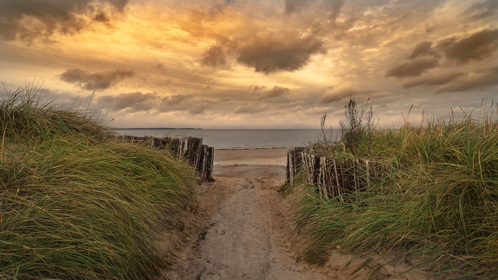 Sandweg Foto & Bild | landschaft, meer & strand, ostsee Bilder auf ...