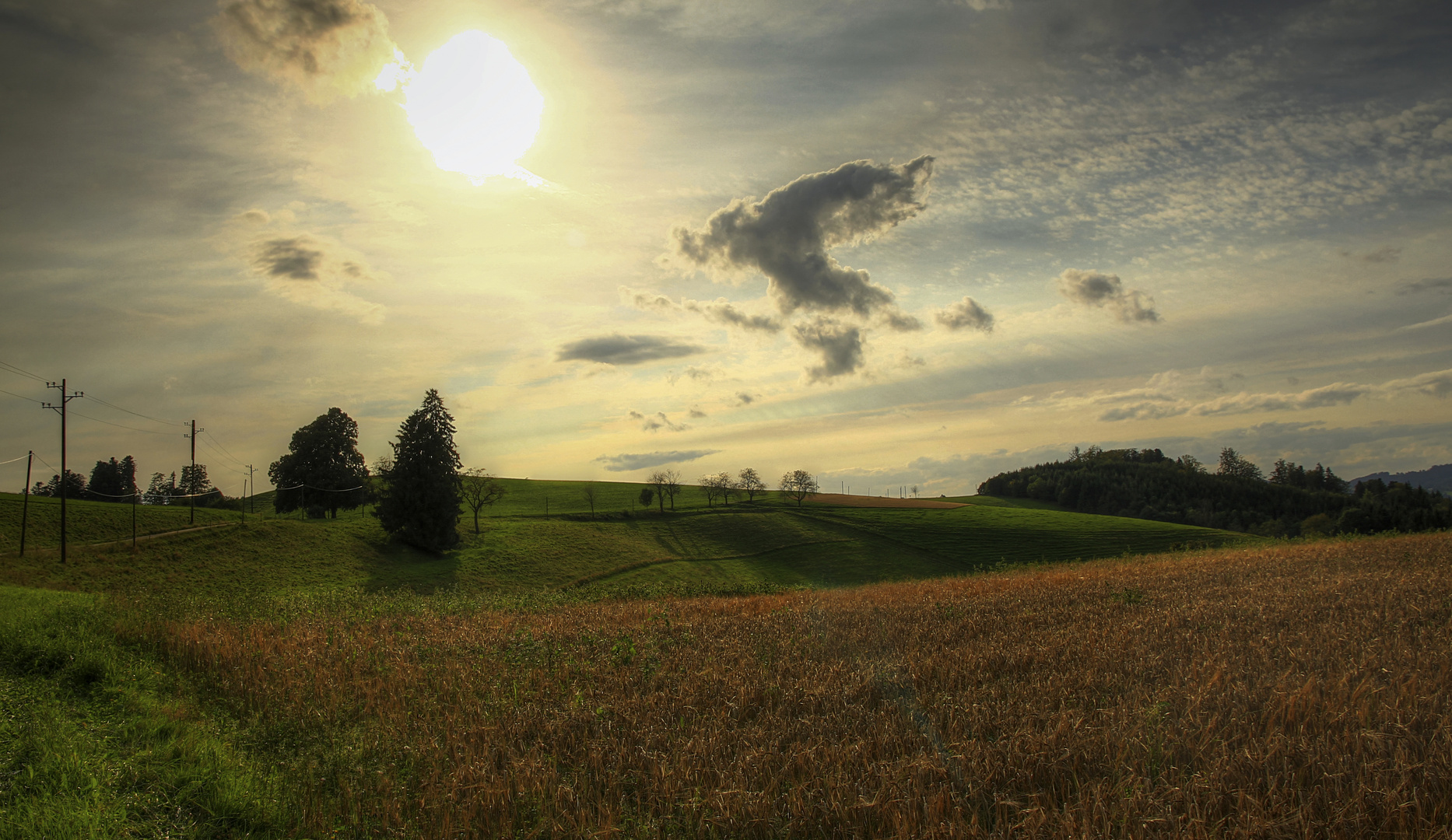 Sanft Foto & Bild | landschaft, Äcker, felder & wiesen ...
