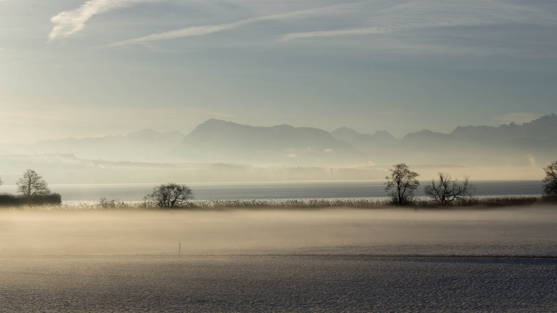 sanft Foto & Bild | winter, schilf, natur Bilder auf fotocommunity