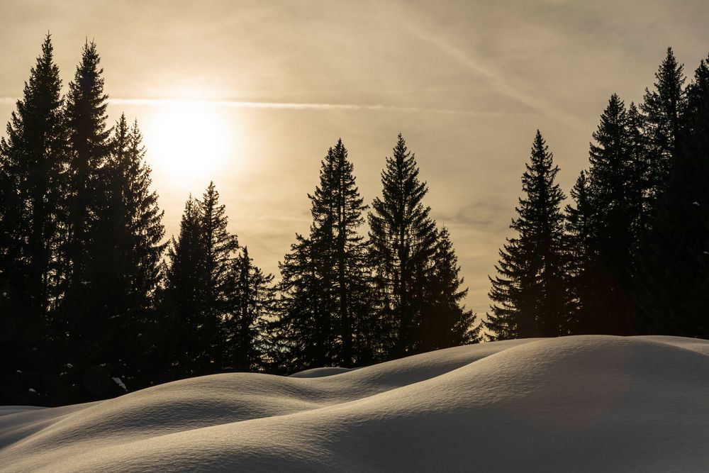 Sanfte Winterlandschaft Foto & Bild | landschaft, jahreszeiten, lebensräume Bilder auf fotocommunity