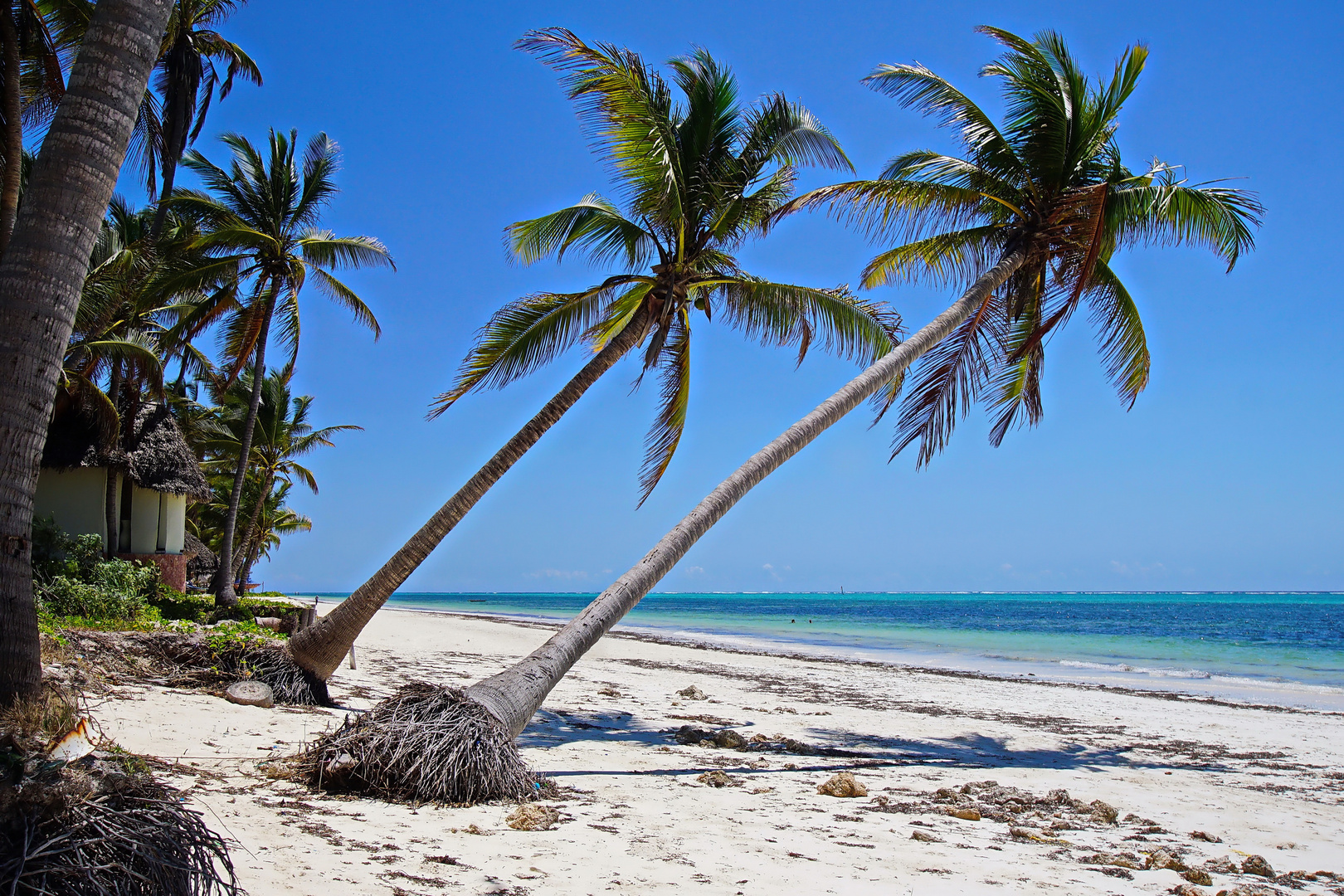 Sansibar Foto & Bild | africa, eastern africa, landschaft Bilder auf ...