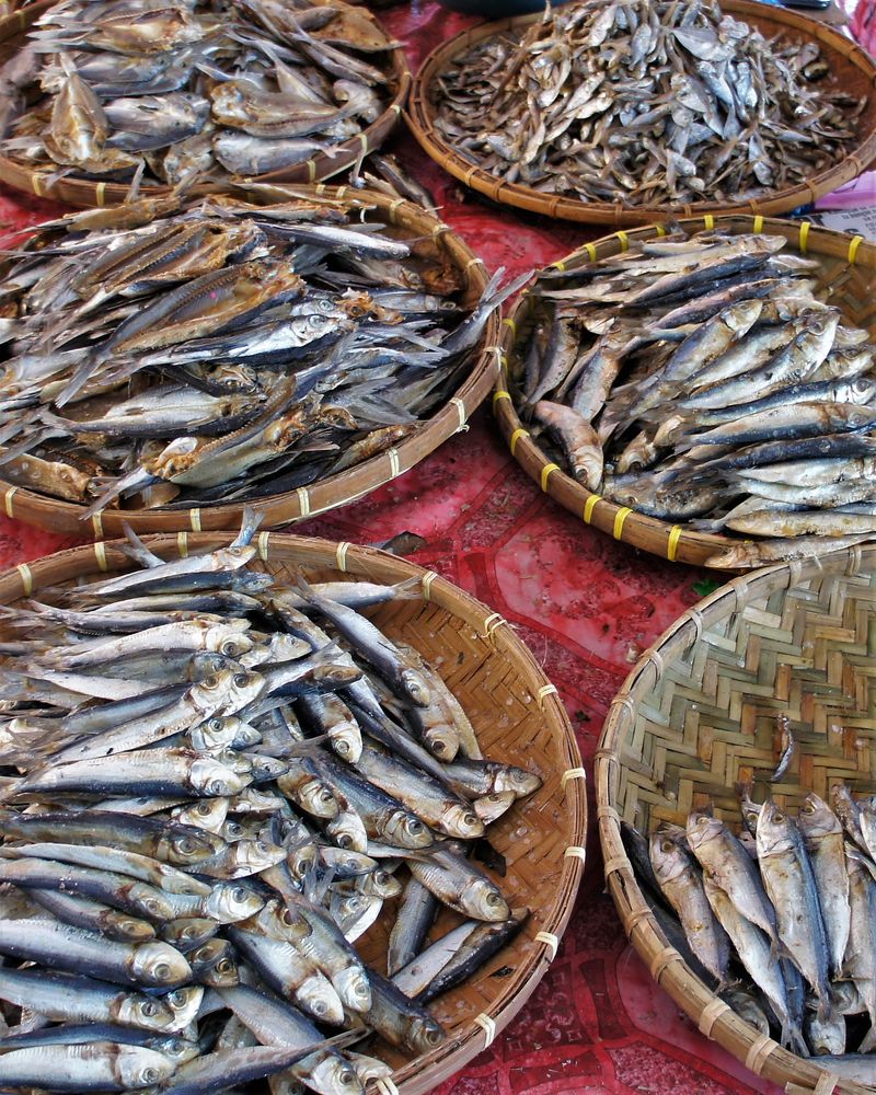 Sardinen Foto & Bild | asien, meer, stillleben Bilder auf fotocommunity