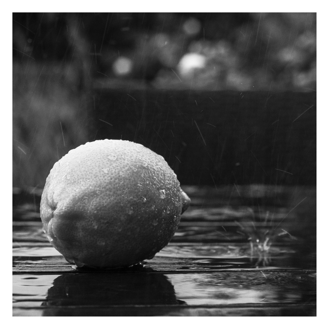 saurer Regen* Foto & Bild | fotokunst, monochrome fine art, monochrome ...