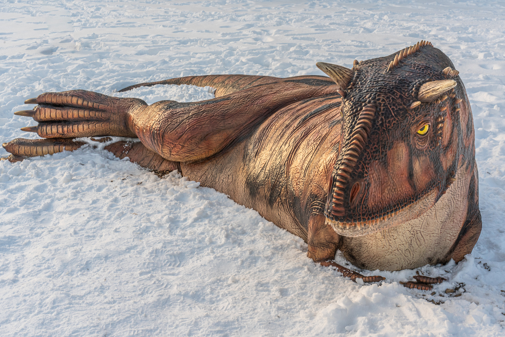 Saurier erobern den Maschpark in Hannover II Foto & Bild | schnee ...