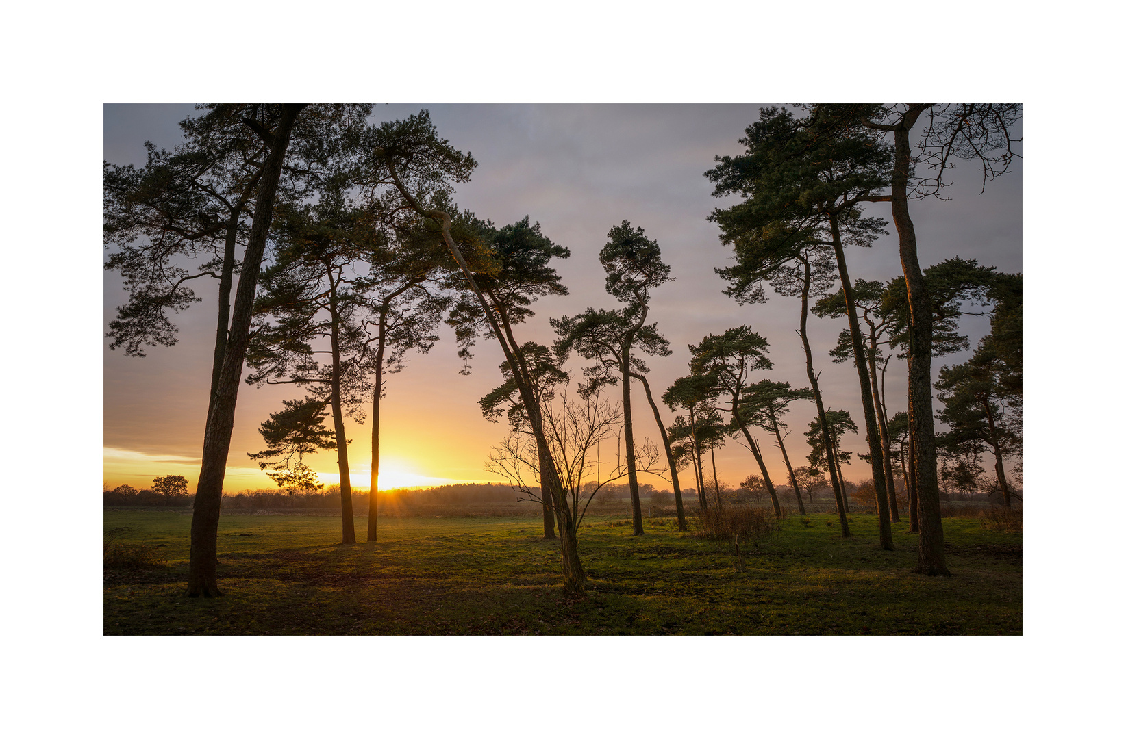 Savane photo et image | nature, sunset, paysages Images fotocommunity