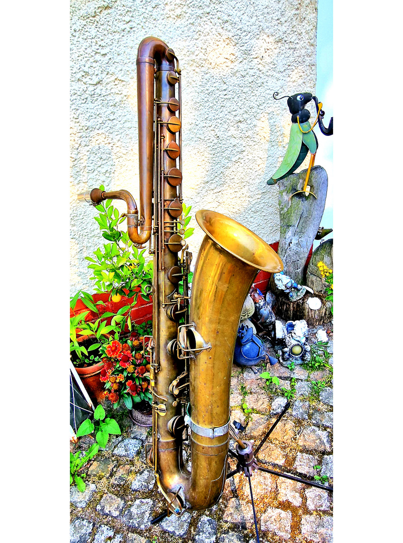 SAXOPHONE SECTION Foto & Bild | live, jazz, fotos Bilder auf fotocommunity