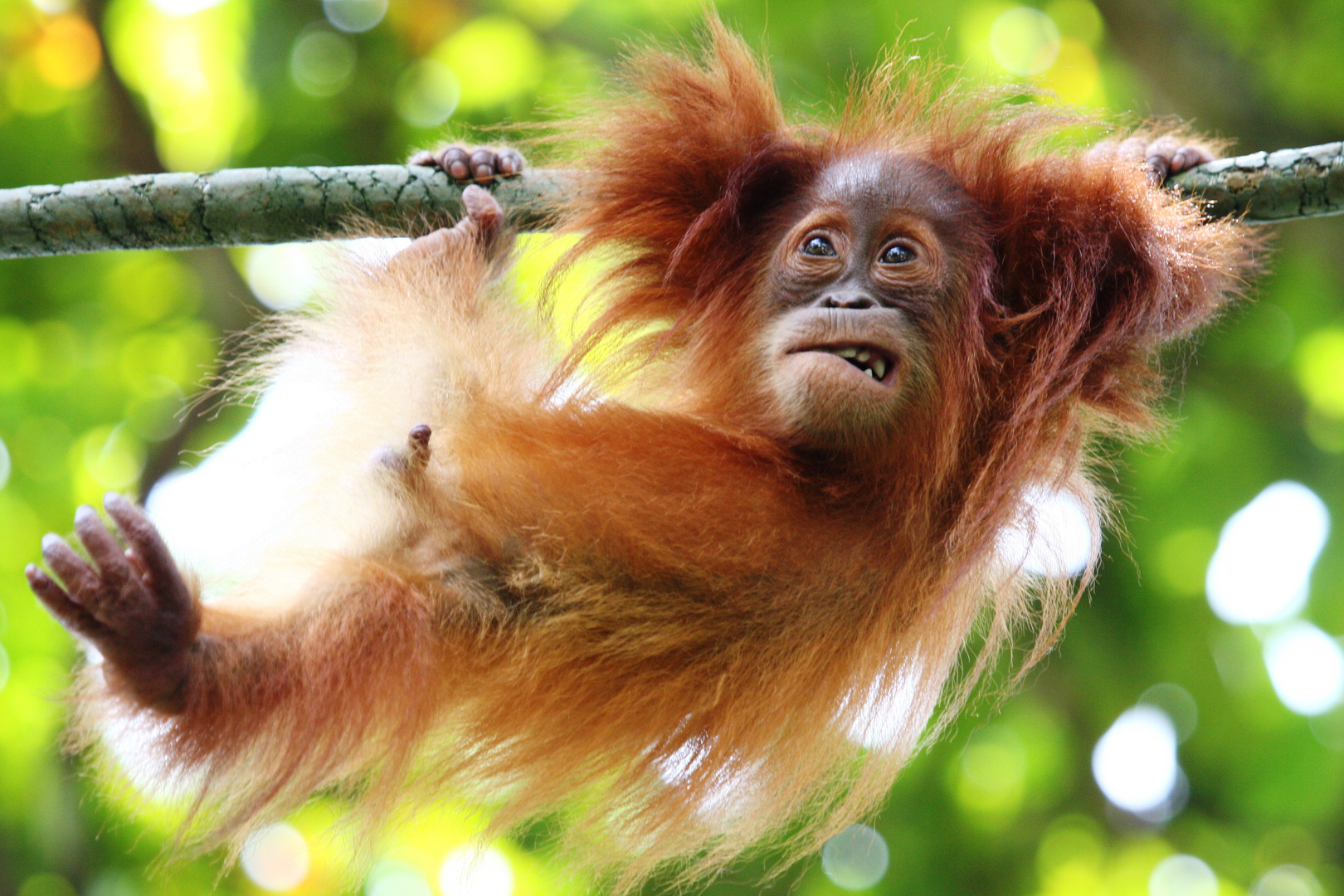 scared Foto & Bild | animals, zoos, parks & falconries, mammals Bilder ...