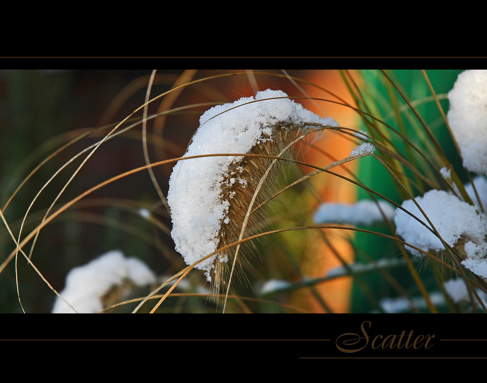 **Scatter** Foto & Bild | jahreszeiten, winter, dit und dat Bilder auf ...