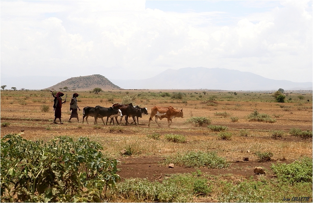 " Scène de la vie rurale " photo et image | paysages, images du monde ...