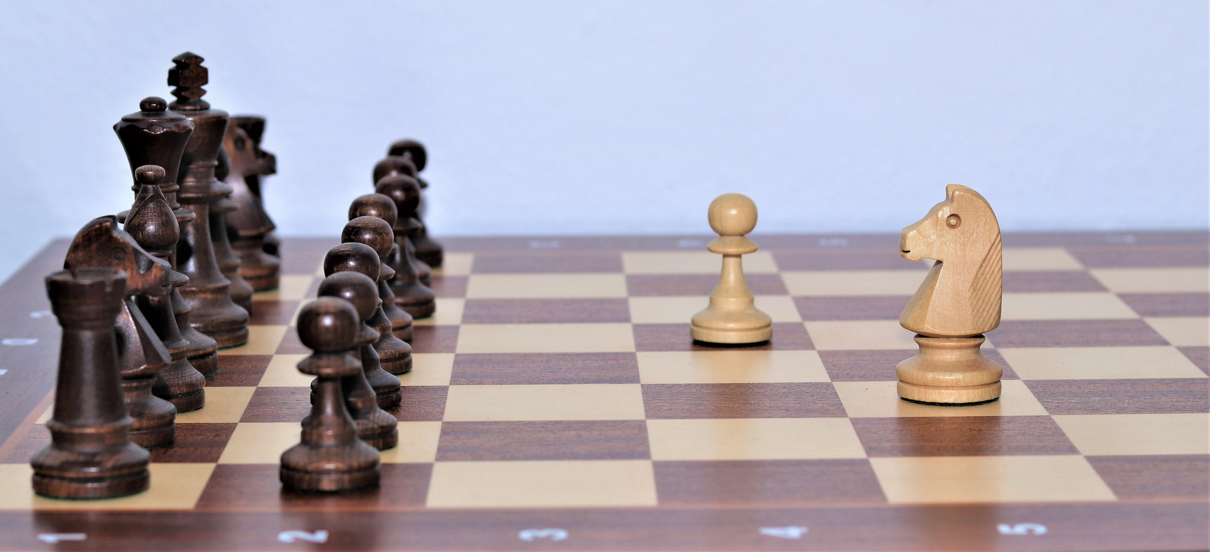 Schachmatt Foto & Bild | spezial, schachmatt Bilder auf fotocommunity