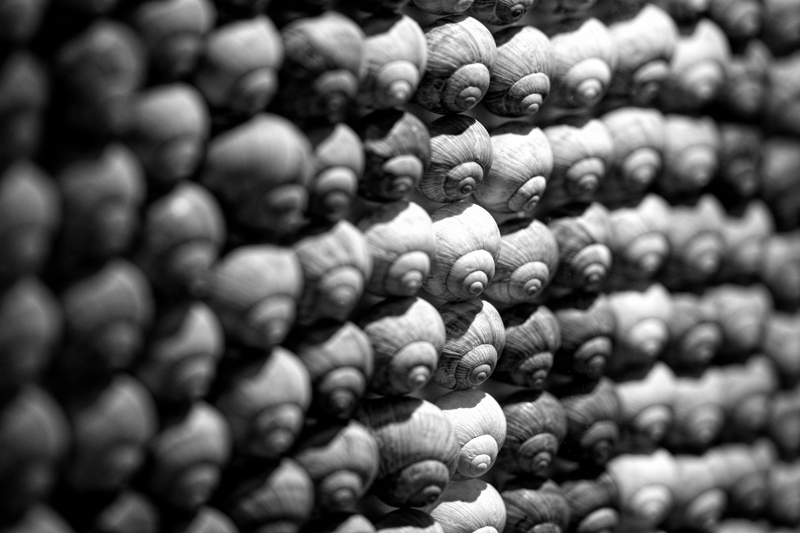 schärfeverlauf Foto & Bild | monochrom, bearbeitungs - techniken, fotos Bilder auf fotocommunity