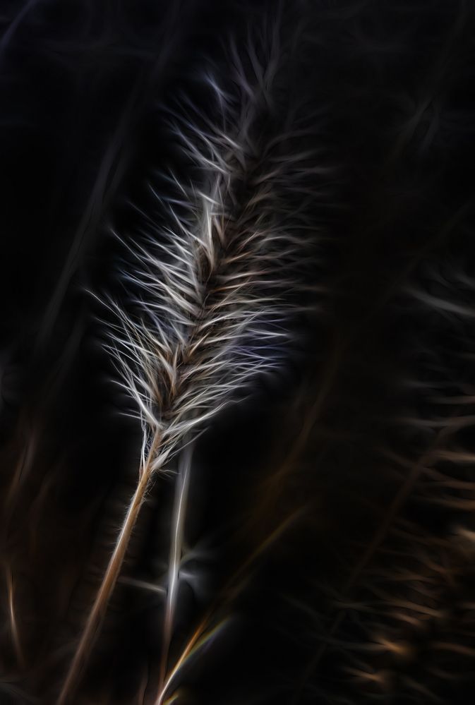 schätze finden in kleinen deteils ... Foto & Bild | bearbeitungs - techniken, filtertechniken ...