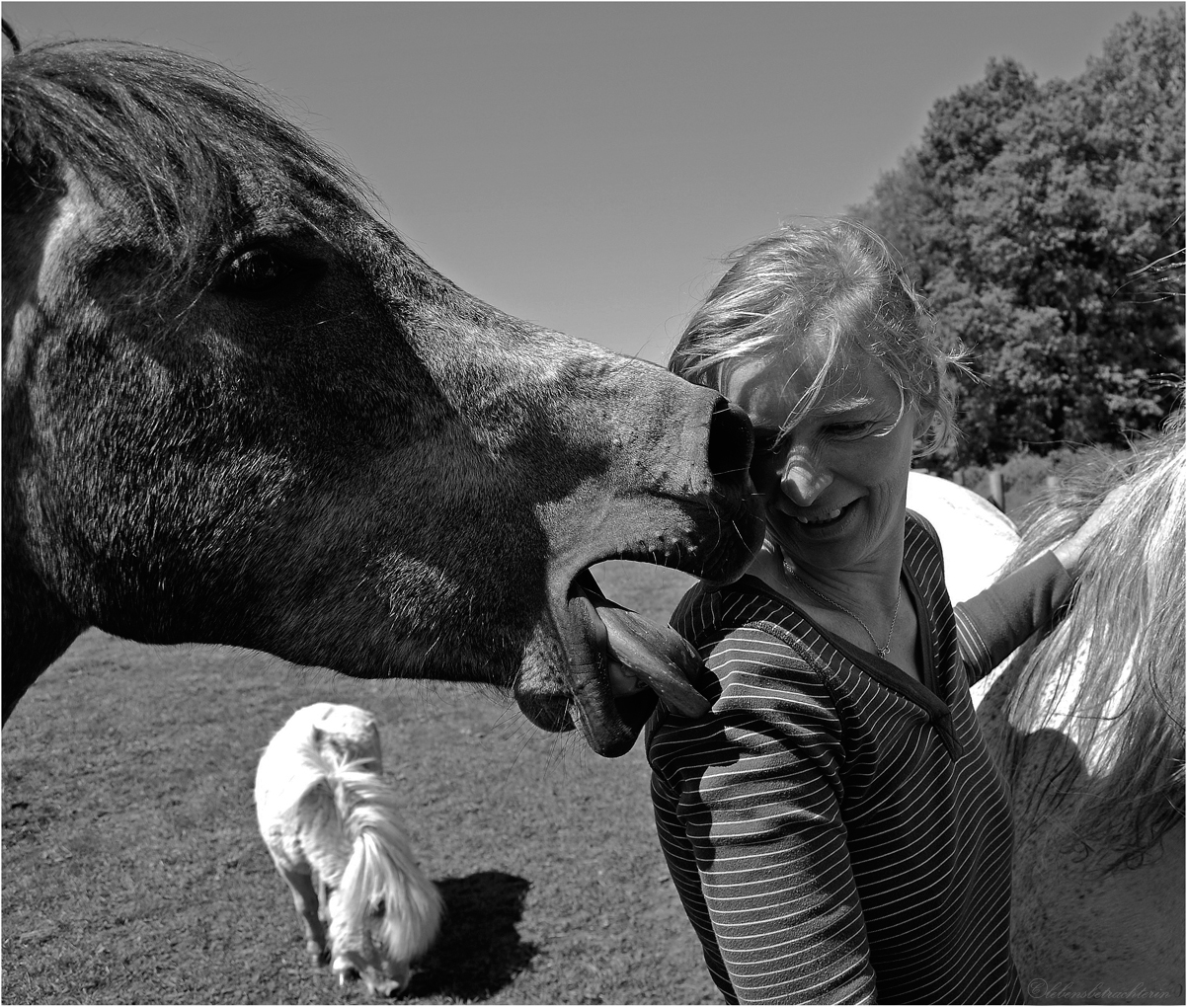 Schalk Foto & Bild | erwachsene menschen, tiere, haustiere Bilder auf fotocommunity