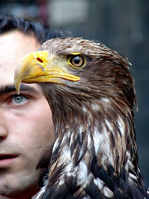 Andrey Mashkin - Fotos & Bilder - Fotograf aus Aachen, Deutschland ...