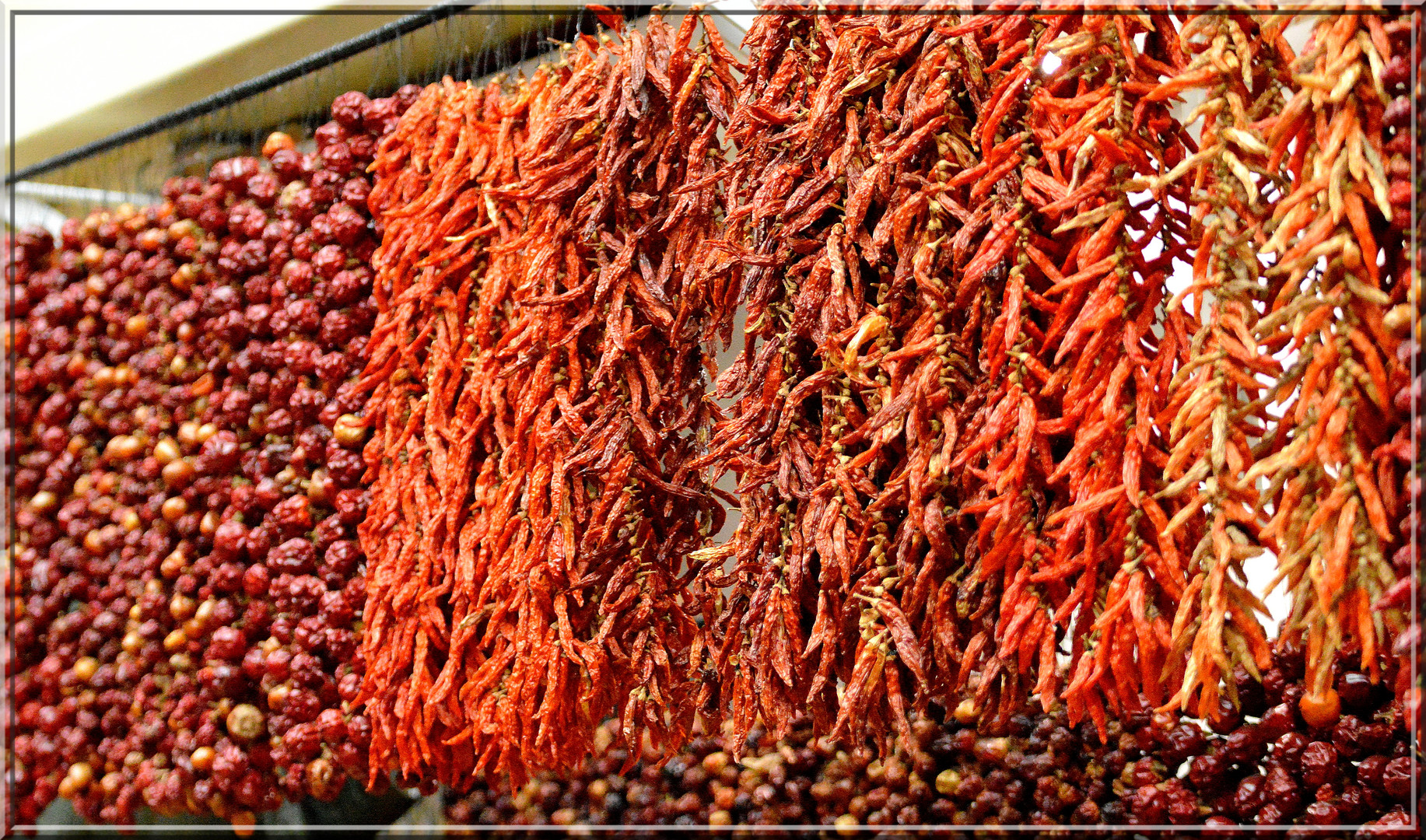 scharfes Foto Foto & Bild | europe, portugal, stillleben Bilder auf ...