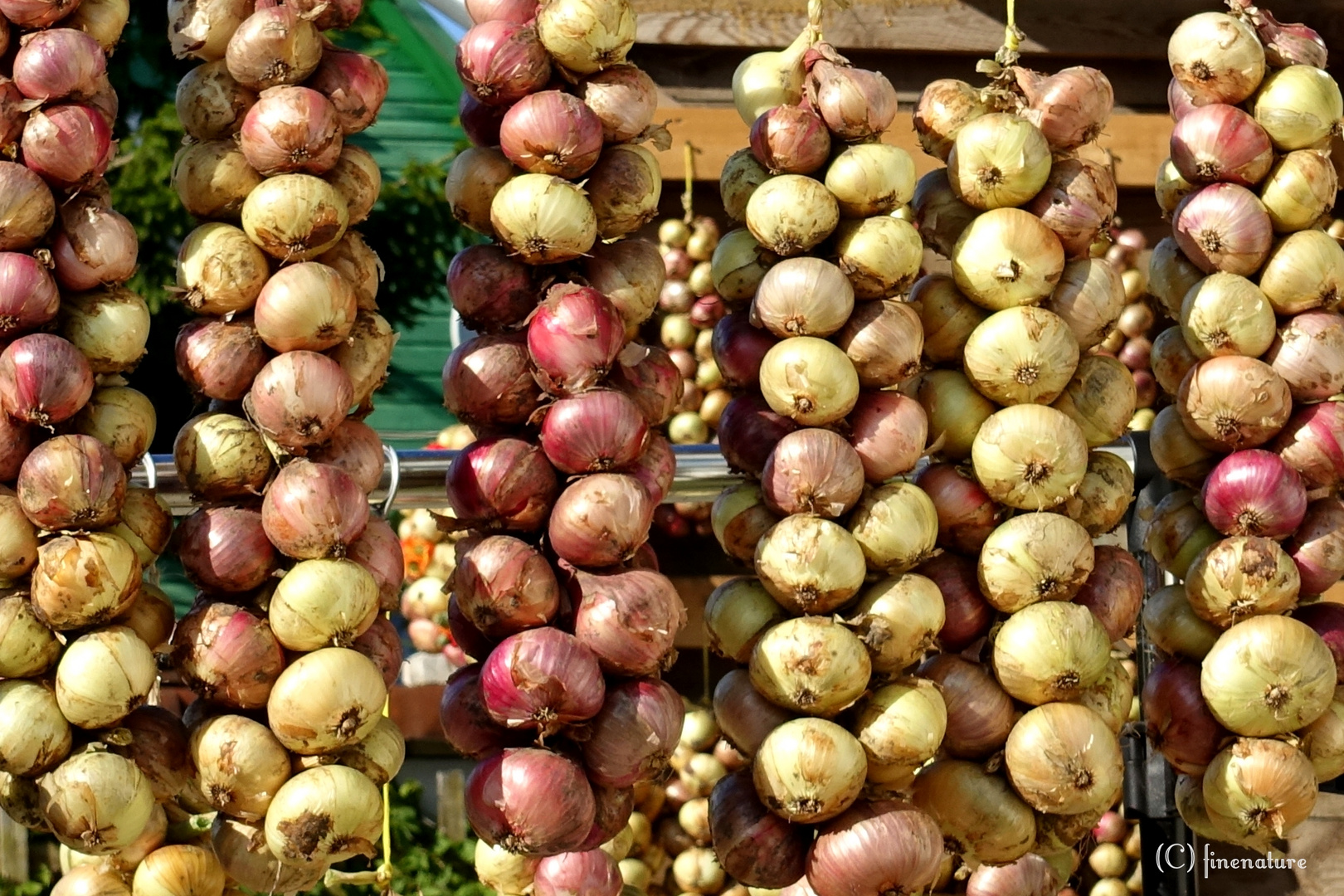 Scharfes Gemüse Foto & Bild | europe, stillleben, baltic states Bilder ...