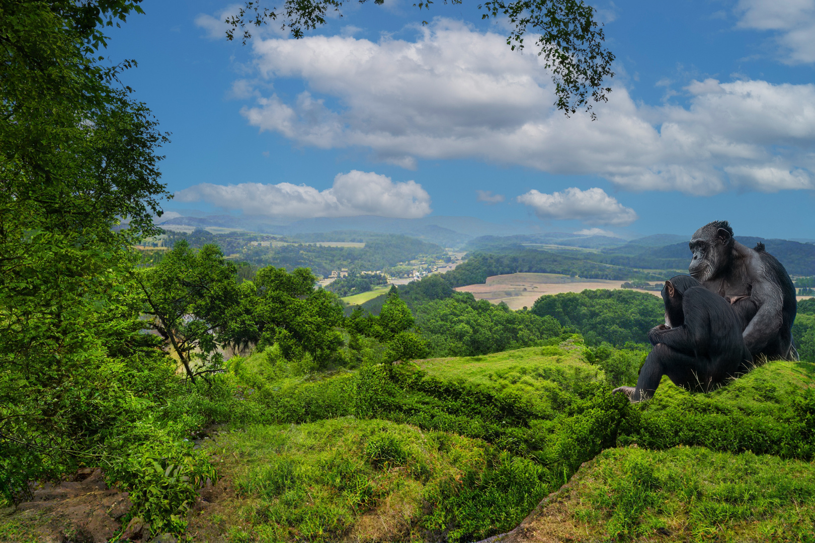 Schau ins Land ... Foto & Bild | fotomontage, landschaften, composing Bilder auf fotocommunity
