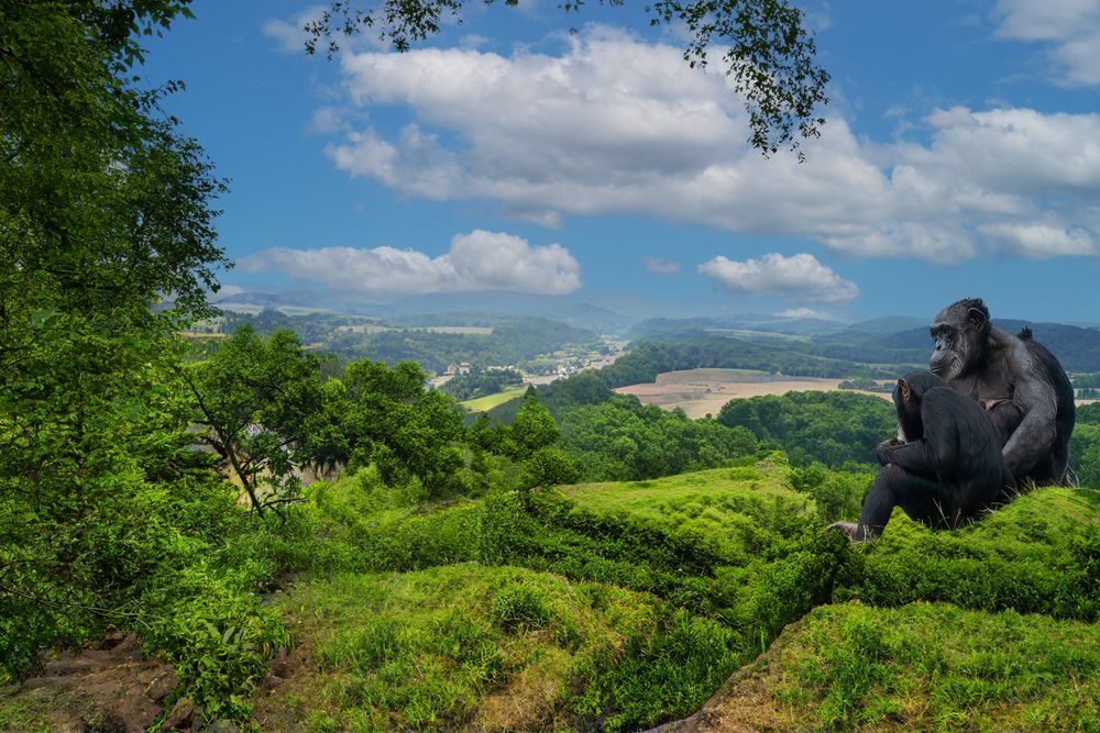 Schau ins Land ... Foto & Bild | fotomontage, landschaften, composing Bilder auf fotocommunity