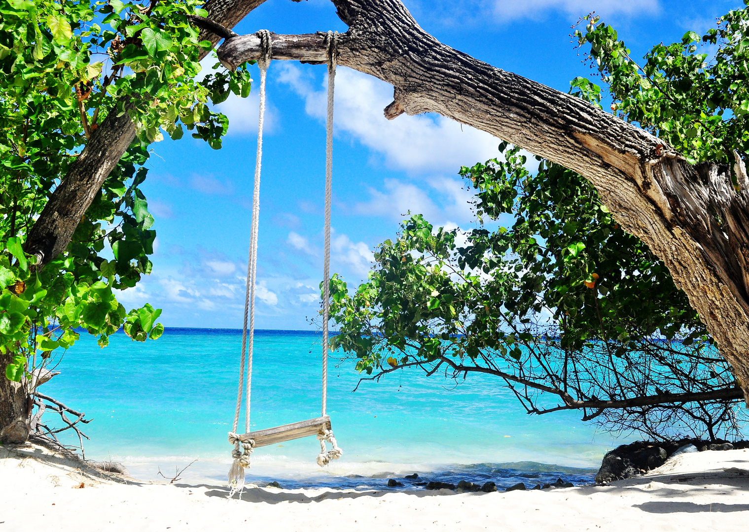 Schaukel im Paradies Foto & Bild | asia, indian ocean, malediven Bilder ...