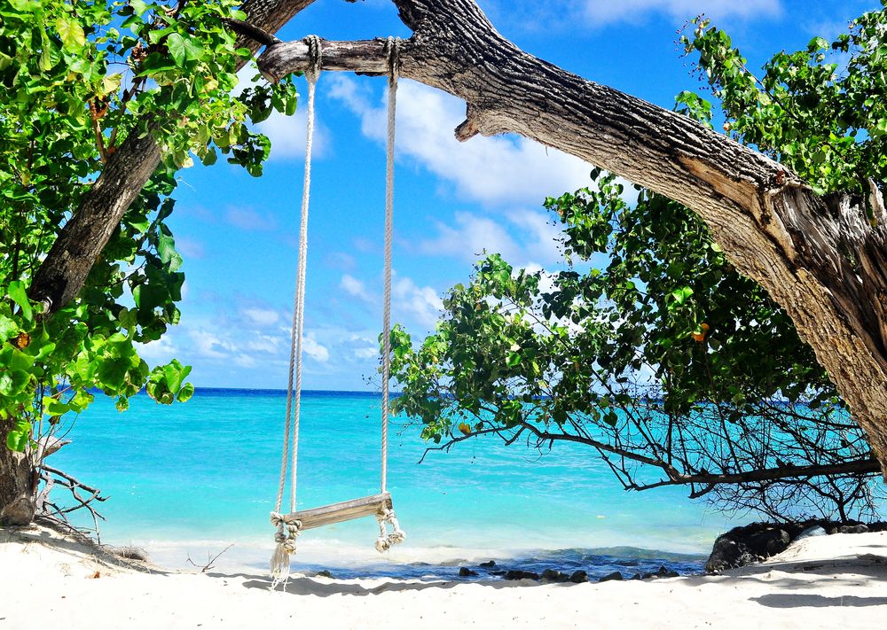Schaukel im Paradies Foto & Bild | asia, indian ocean, malediven Bilder ...