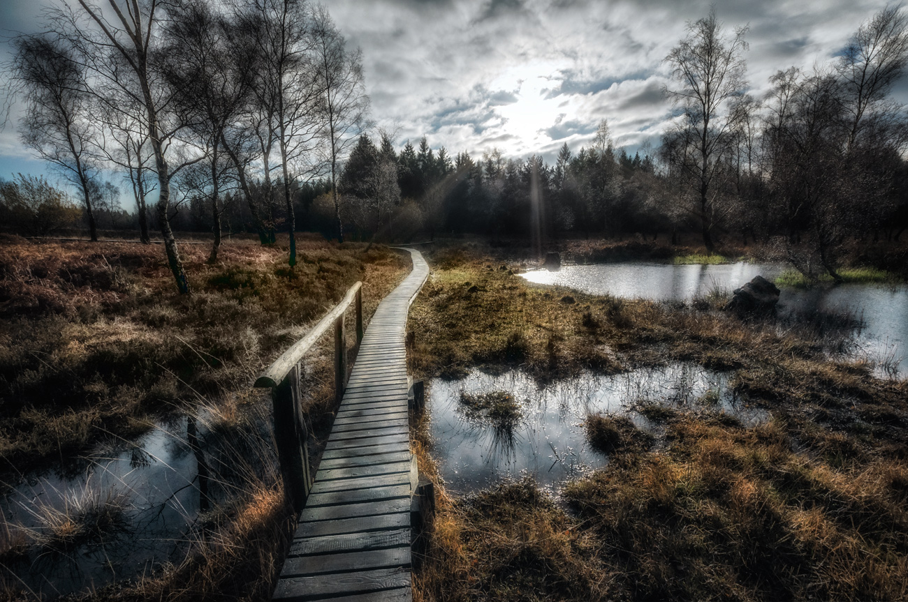 Schaurig Foto & Bild | landschaft, moor, natur Bilder auf fotocommunity