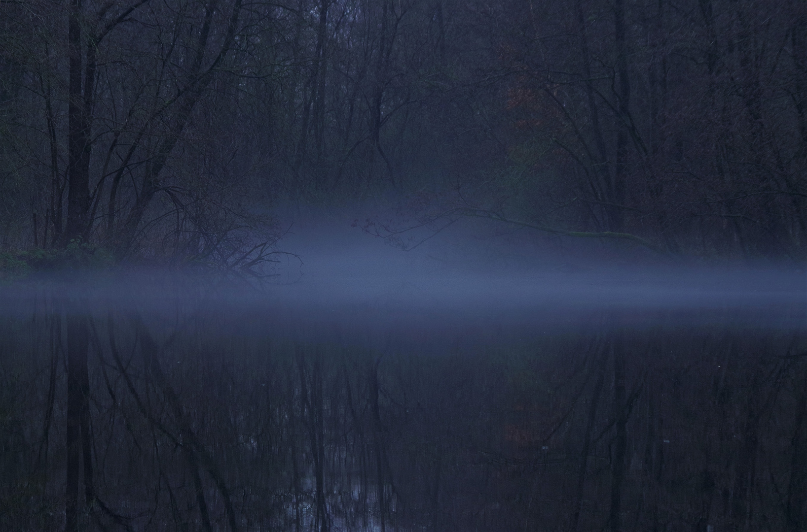 schaurig im Moor Foto & Bild | landschaft, projekte, bach, fluss & see ...