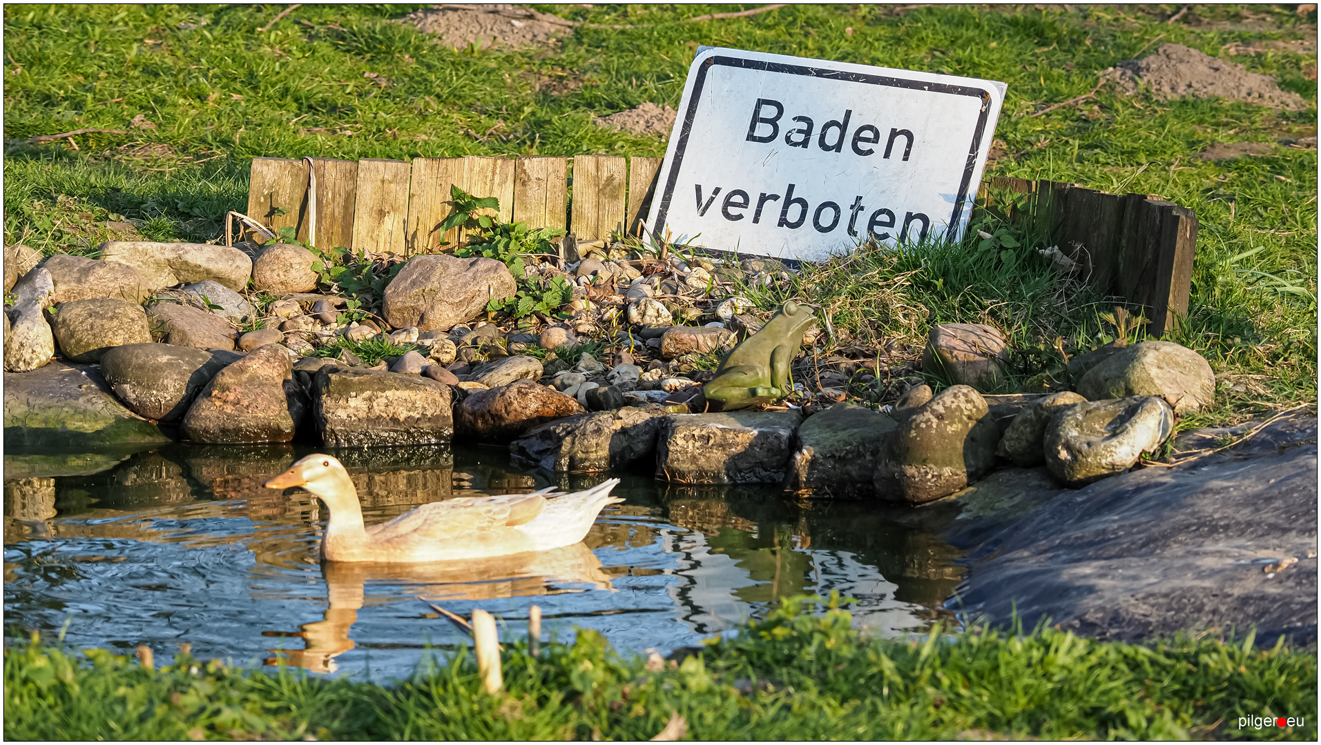 scheißegal Foto & Bild | quatsch, fun und rätselecke, tiere, haustiere ...