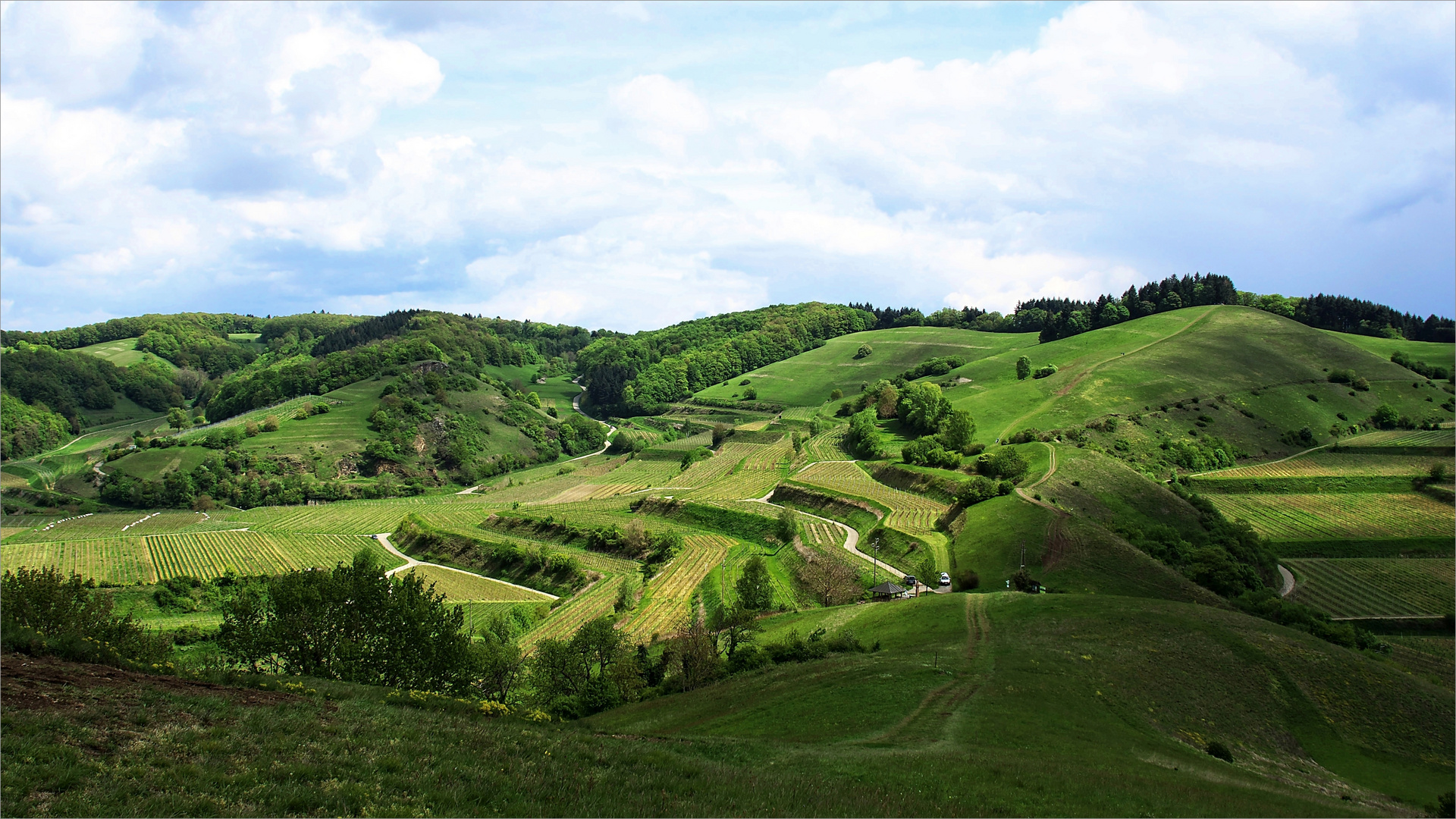 Schellinger Höhe Foto & Bild | fotos, wald, wiese Bilder auf fotocommunity