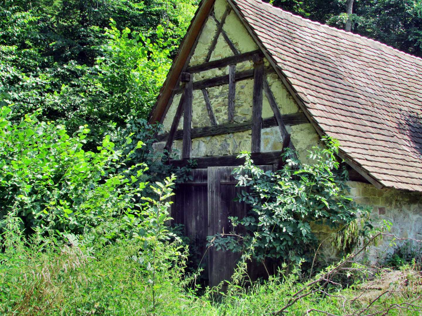 Scheune Foto & Bild | anfängerecke - nachgefragt, nachgefragt ...