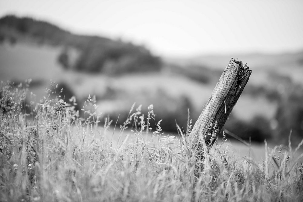 schief Foto & Bild | natur, landschaft Bilder auf fotocommunity