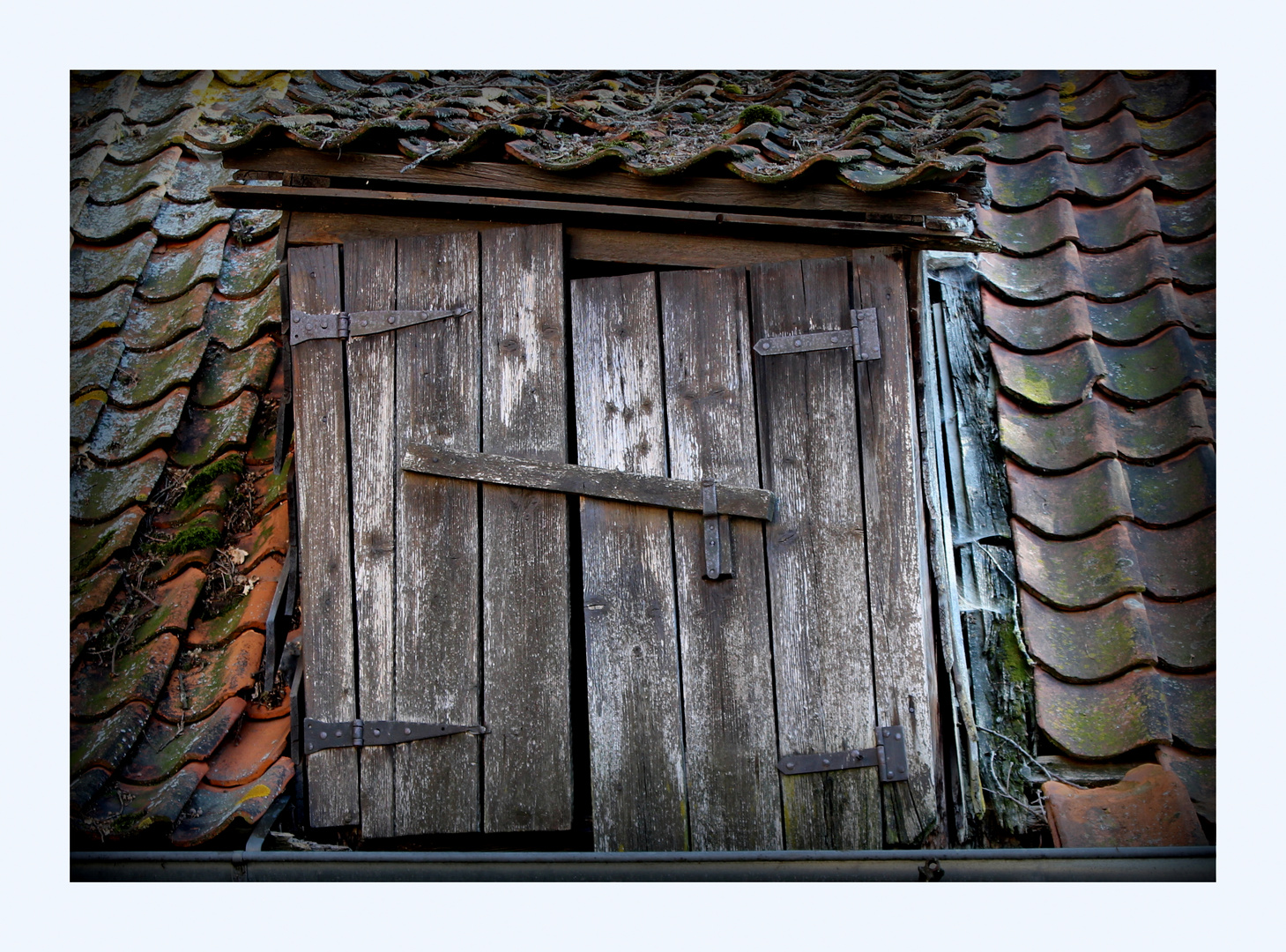 schief ist lebendig Foto & Bild | architektur, ländliche architektur ...