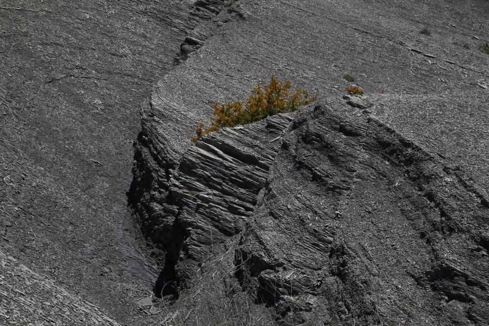 Schiefer Foto & Bild | Bilder auf fotocommunity