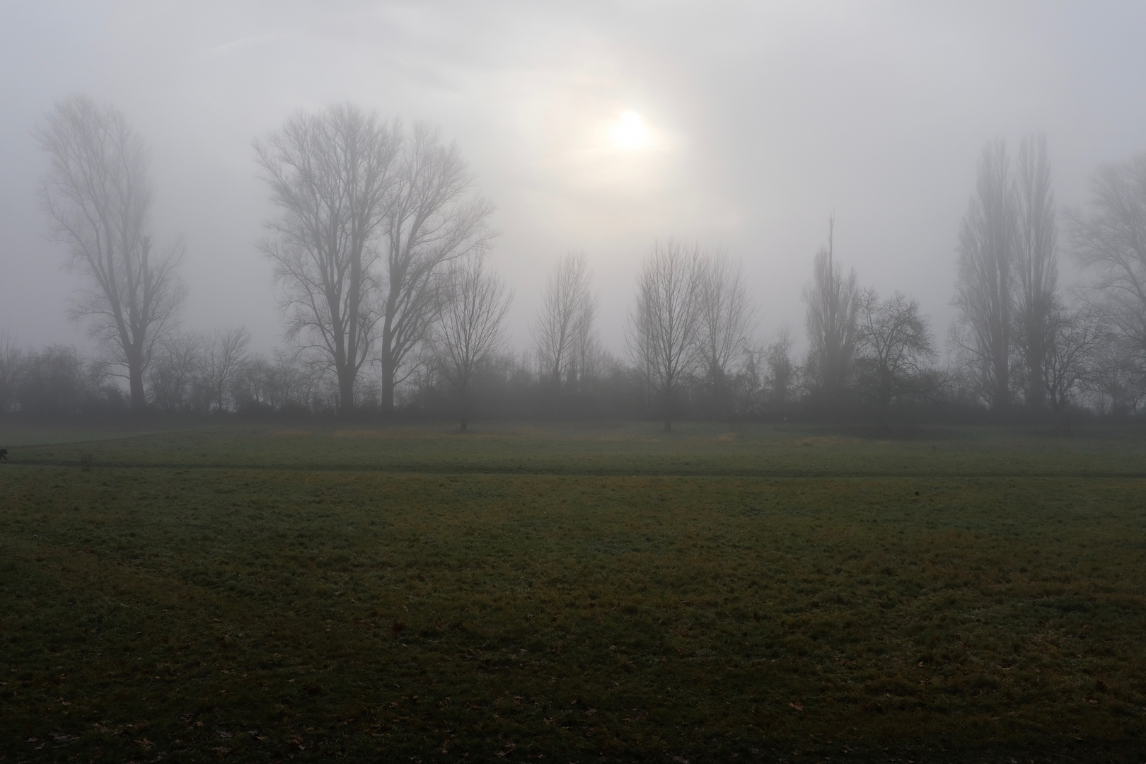 Schierstein Foto & Bild | landschaft, wiesbaden, schierstein Bilder auf ...