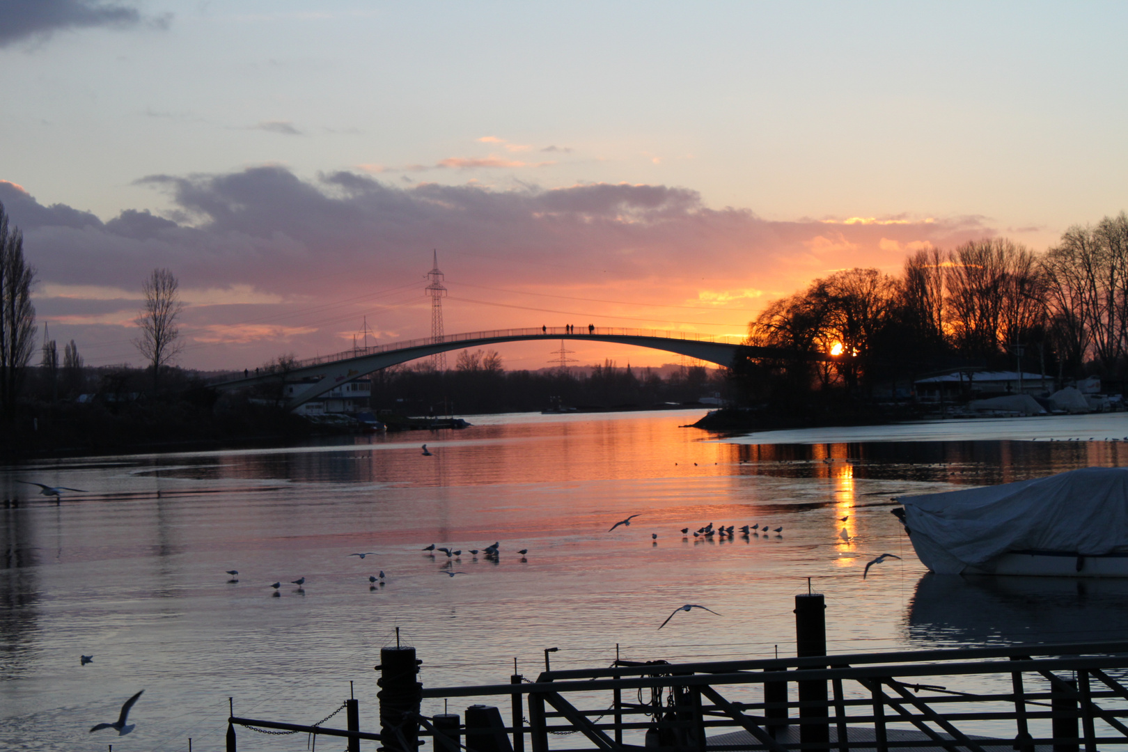 Schiersteiner Hafen im Winter - Dyckerhoffbrücke Foto & Bild ...