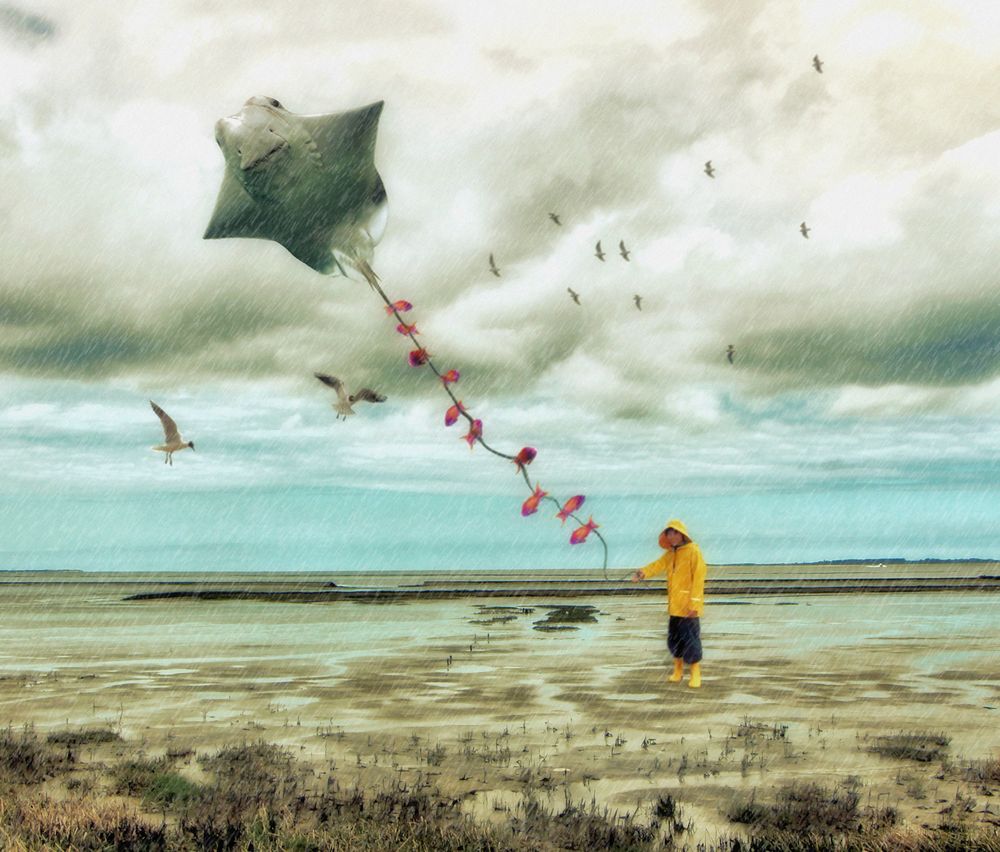 Schietwedda mit Seewind Foto & Bild | fotomontage, surreal, composing Bilder auf fotocommunity