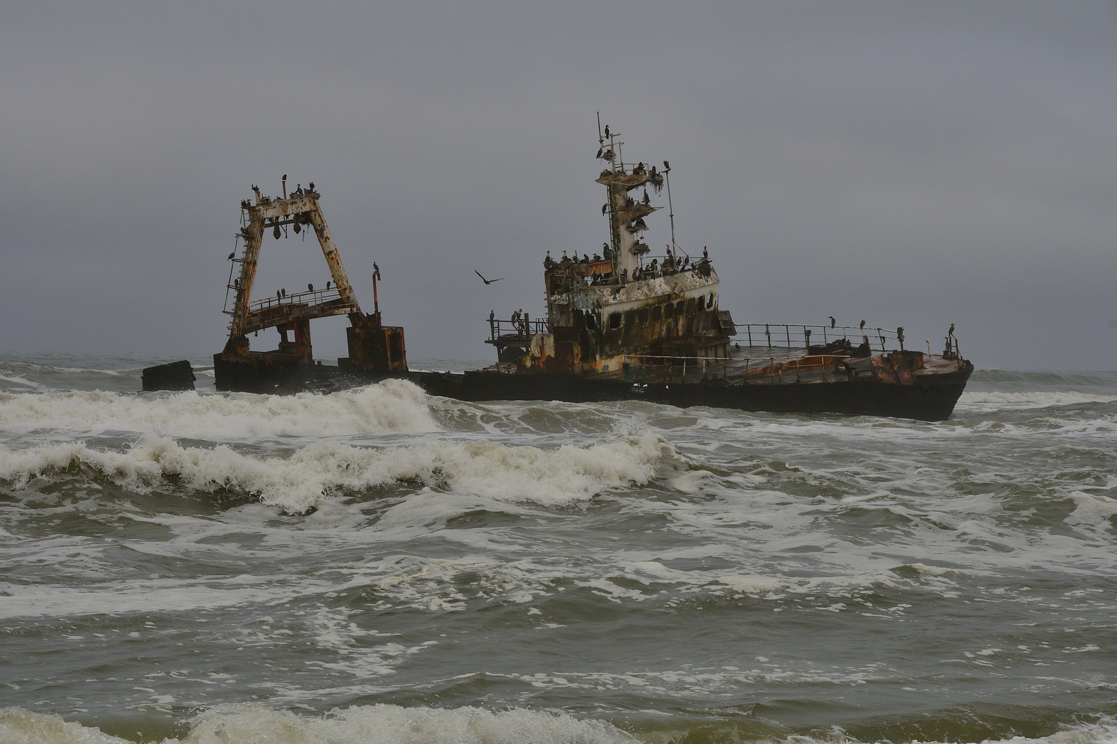 Schiffswrack ZEILA Foto & Bild | africa, southern africa, namibia ...