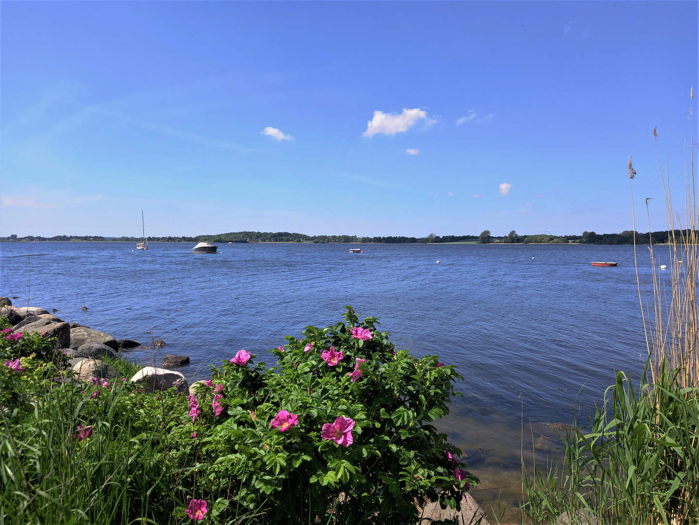 Schlei bei Sieseby Foto & Bild | projekte, 1 - montag - blue monday ...