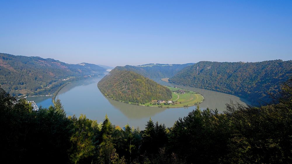 Schlögener Schlinge Foto & Bild | deutschland, europe, bayern Bilder ...