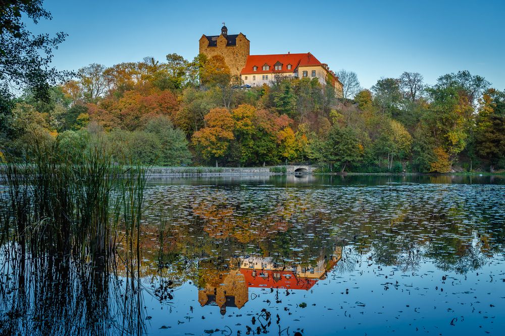 Schloss Ballenstedt - gespiegelt Foto & Bild | world, spezial, wasser ...
