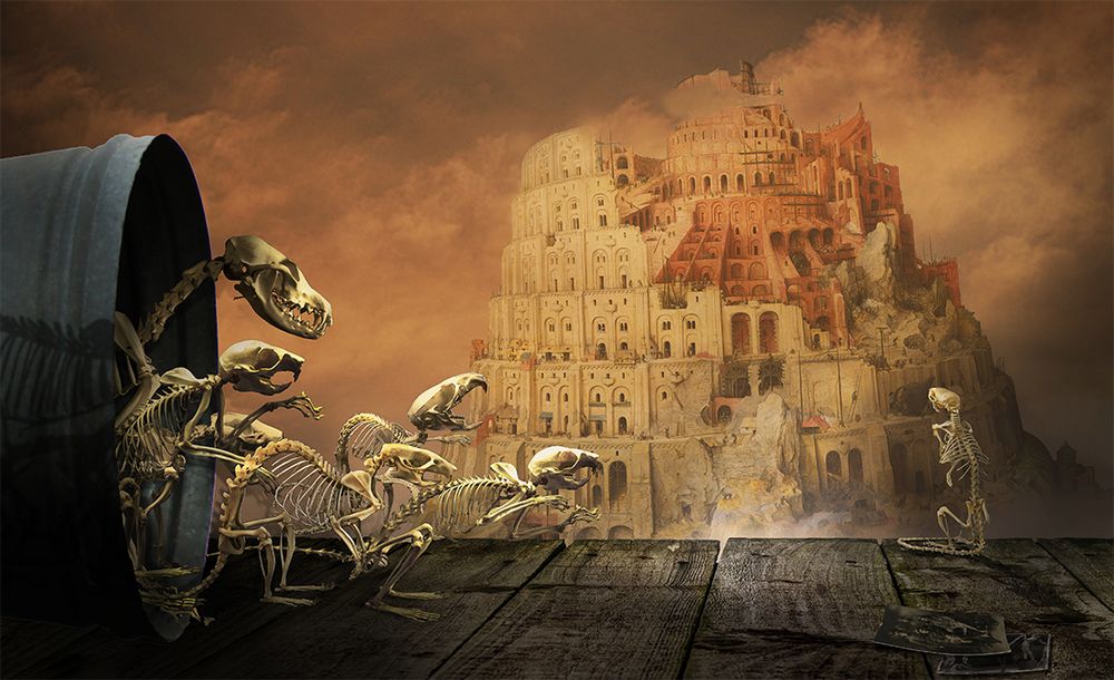 Schloß in den Wolken Foto & Bild | fotomontage, surreal, wolken Bilder auf fotocommunity