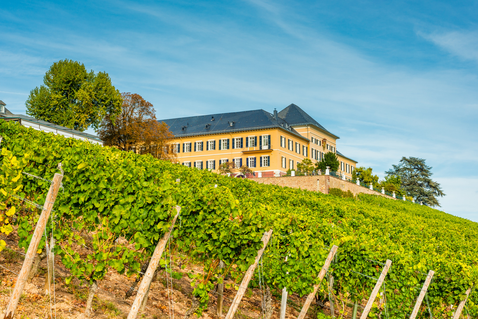 Schloss Johannisberg 05 Foto & Bild | schloss, rheingau, weinberge ...