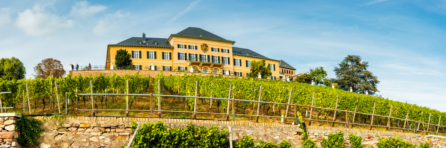 Schloss Johannisberg (1) Foto & Bild | schloss, panorama, basilika ...