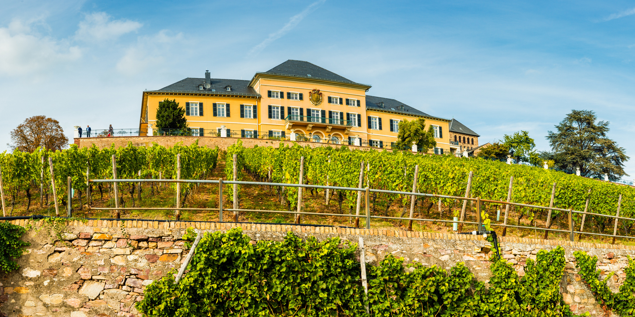 Schloss Johannisberg (1) Foto & Bild | schloss, panorama, basilika ...