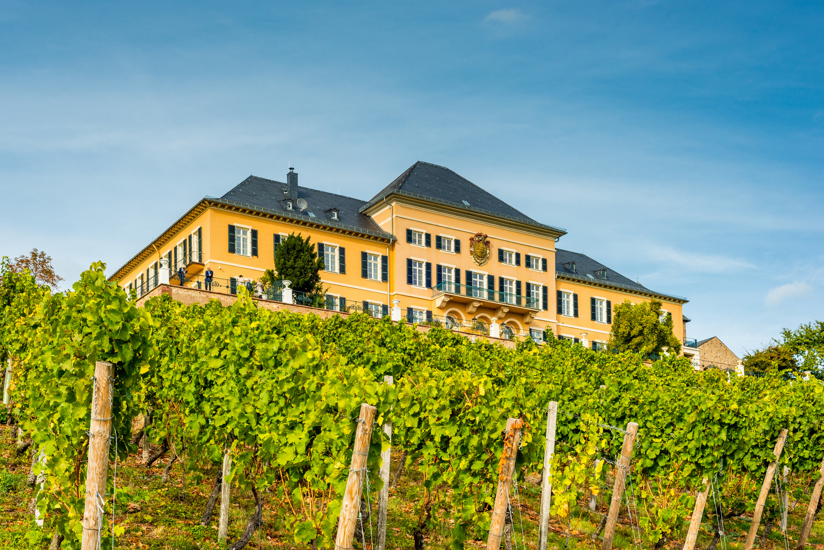 Schloss Johannisberg 14 Foto & Bild | schloss, rheingau, weinberge ...