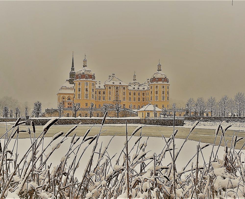 Schloß Moritzburg Foto & Bild | world, winter, himmel Bilder auf ...