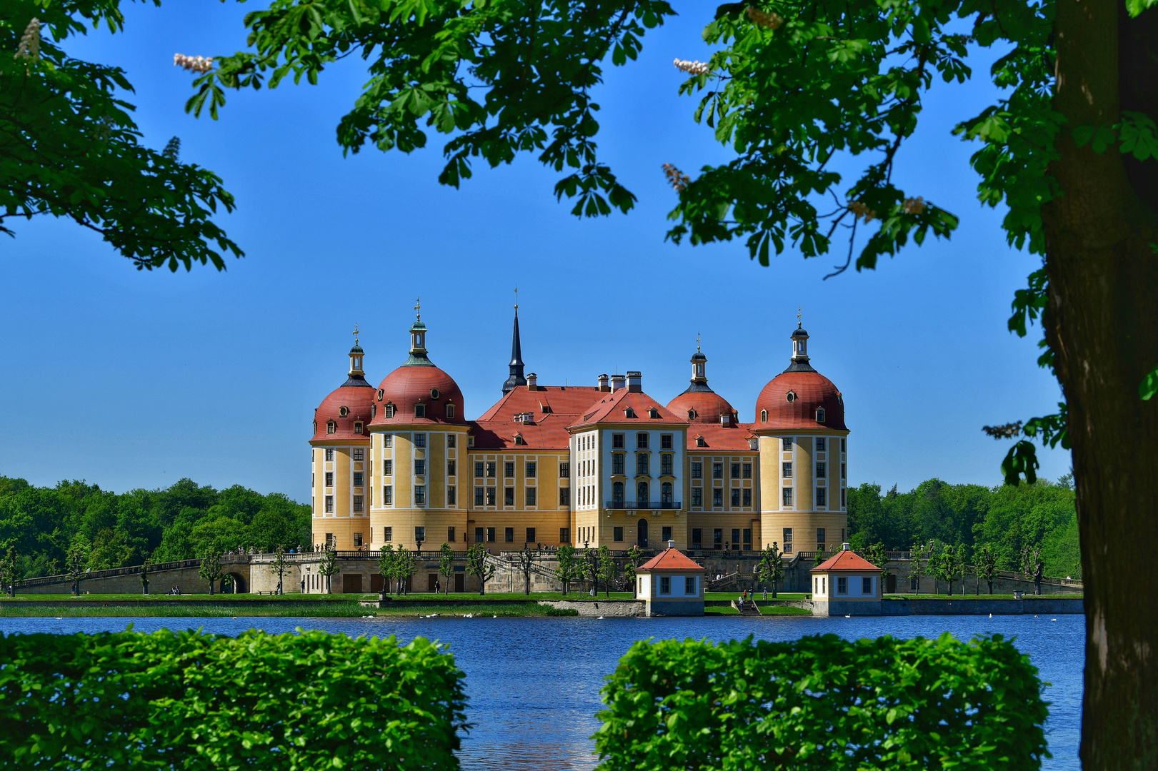 Schloß Moritzburg Foto & Bild | deutschland, europe, sachsen Bilder auf ...