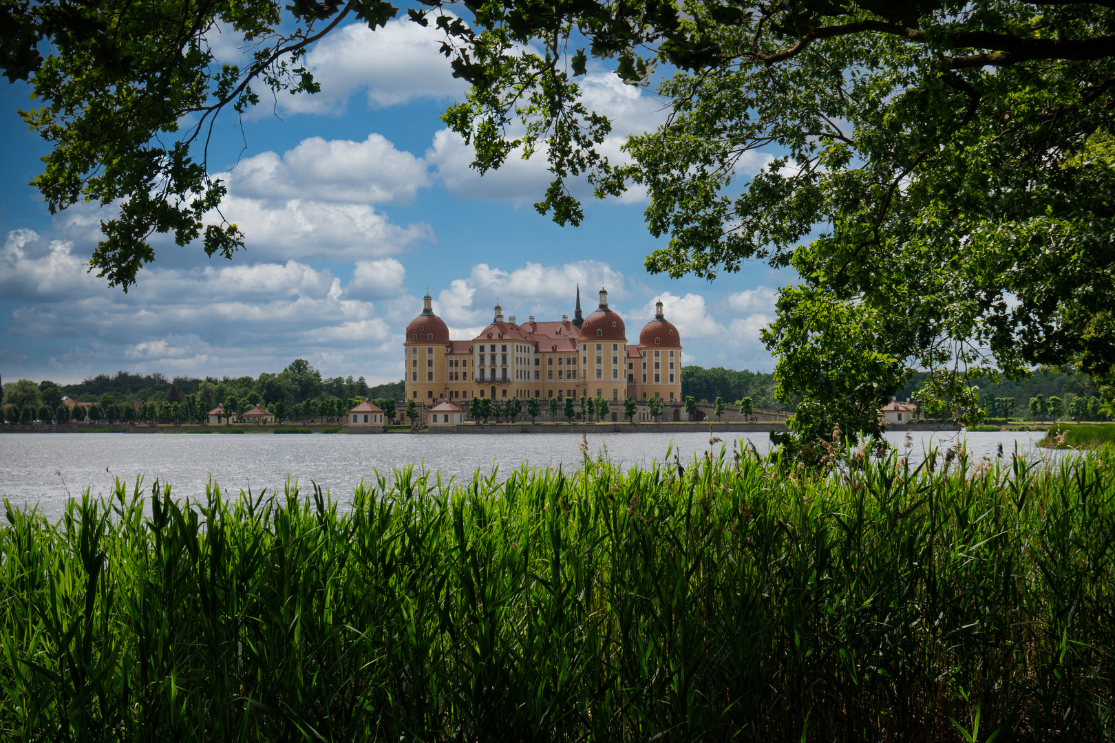 Schloss Moritzburg Foto & Bild | architektur, schlösser & burgen ...